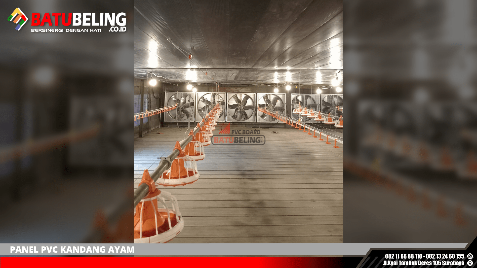 Jual Papan PVC Kandang Ayam Tulungagung No 1 - PVC KANDANG AYAM